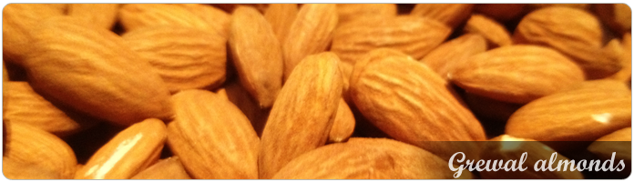 Grewal Almonds – Yuvi Foods
